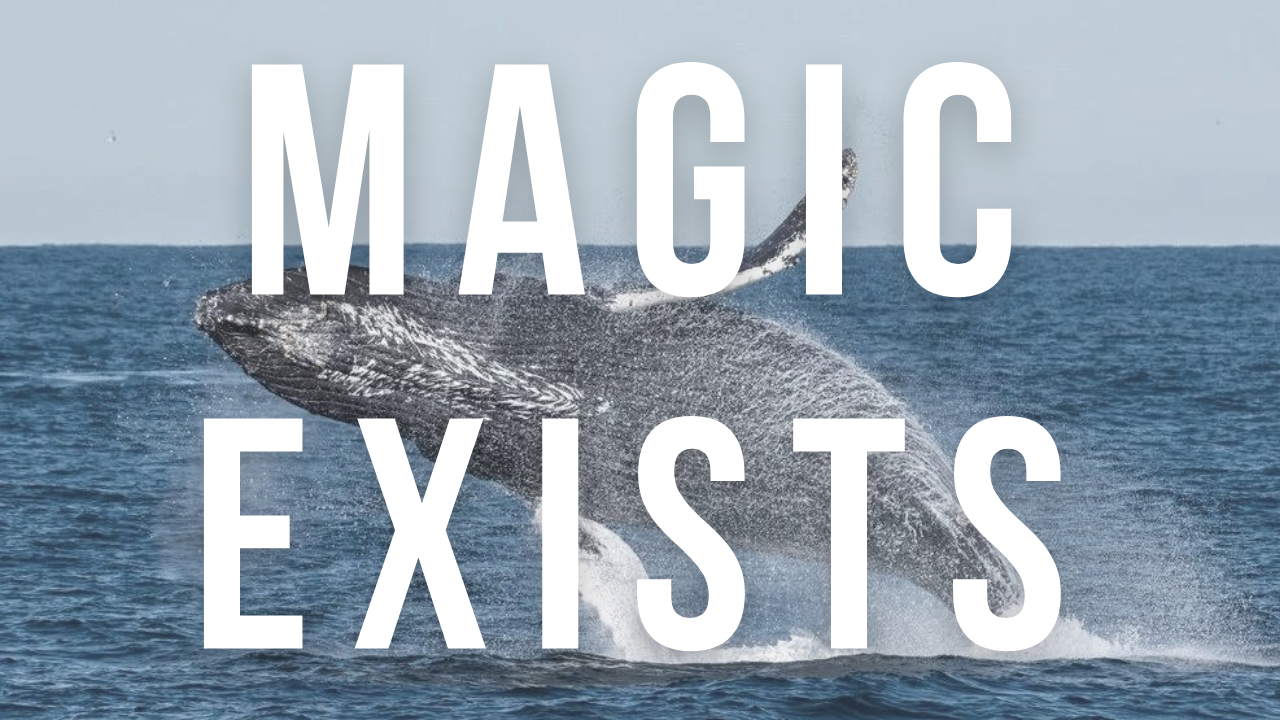 Magic Exists